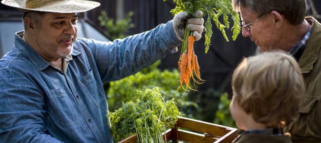 FERME Québec - Ferme Québec
