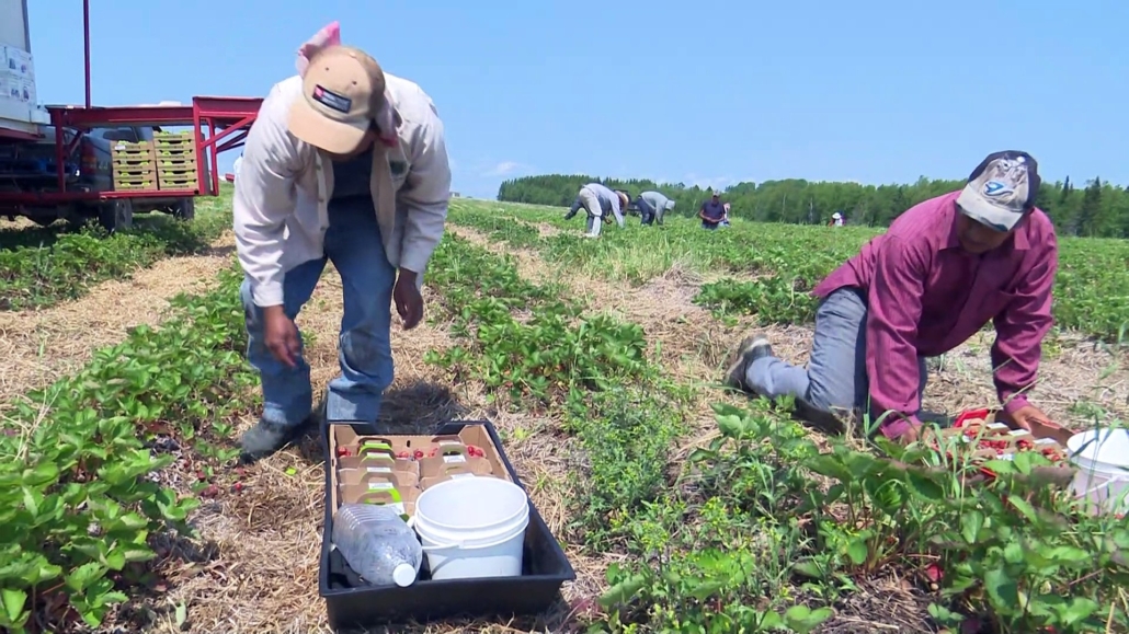 FERME Québec - Ferme Québec